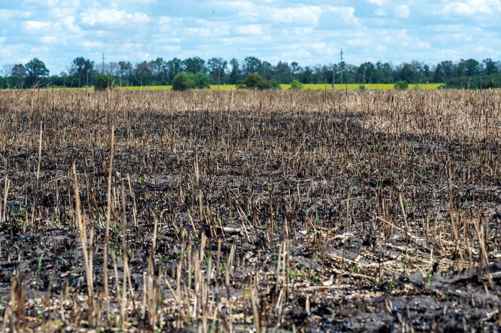 Post-War Environmental Restoration: Cooperation Between Ukraine and ...
