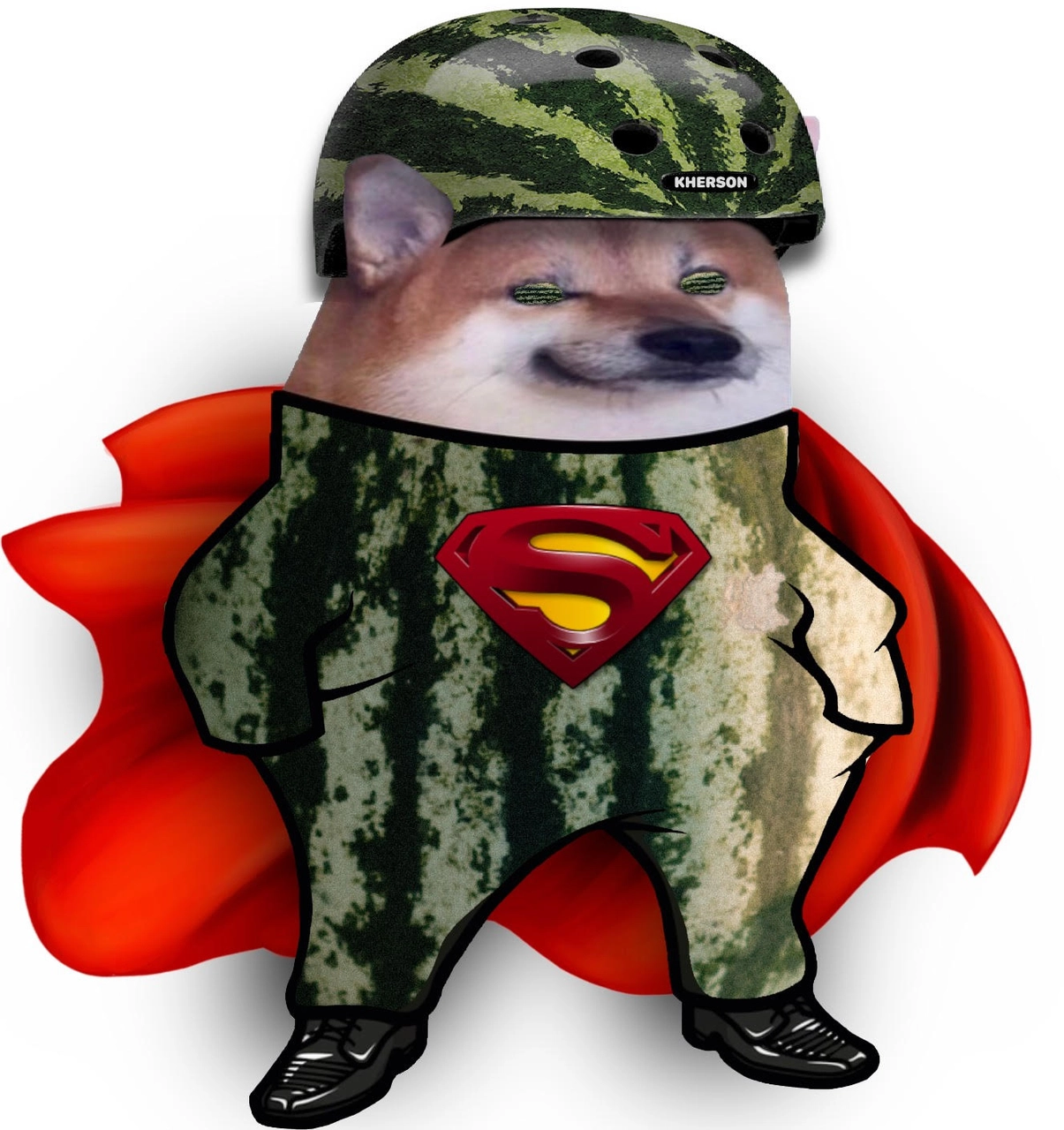 Founder of NAFO Reveals Identity, Discusses Raison D’être