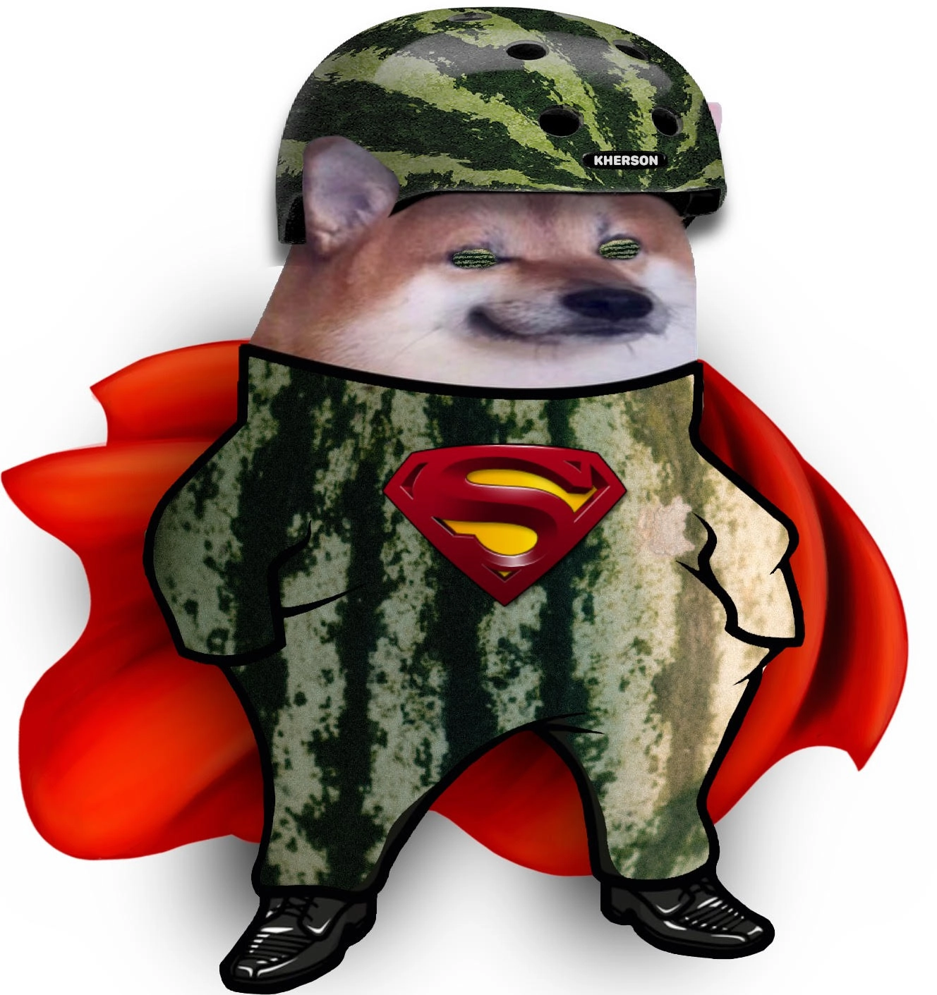 Founder of NAFO Reveals Identity, Discusses Raison D’être