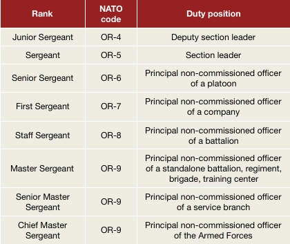 Rada approves new ranks, NATO-style amendments to military instructions