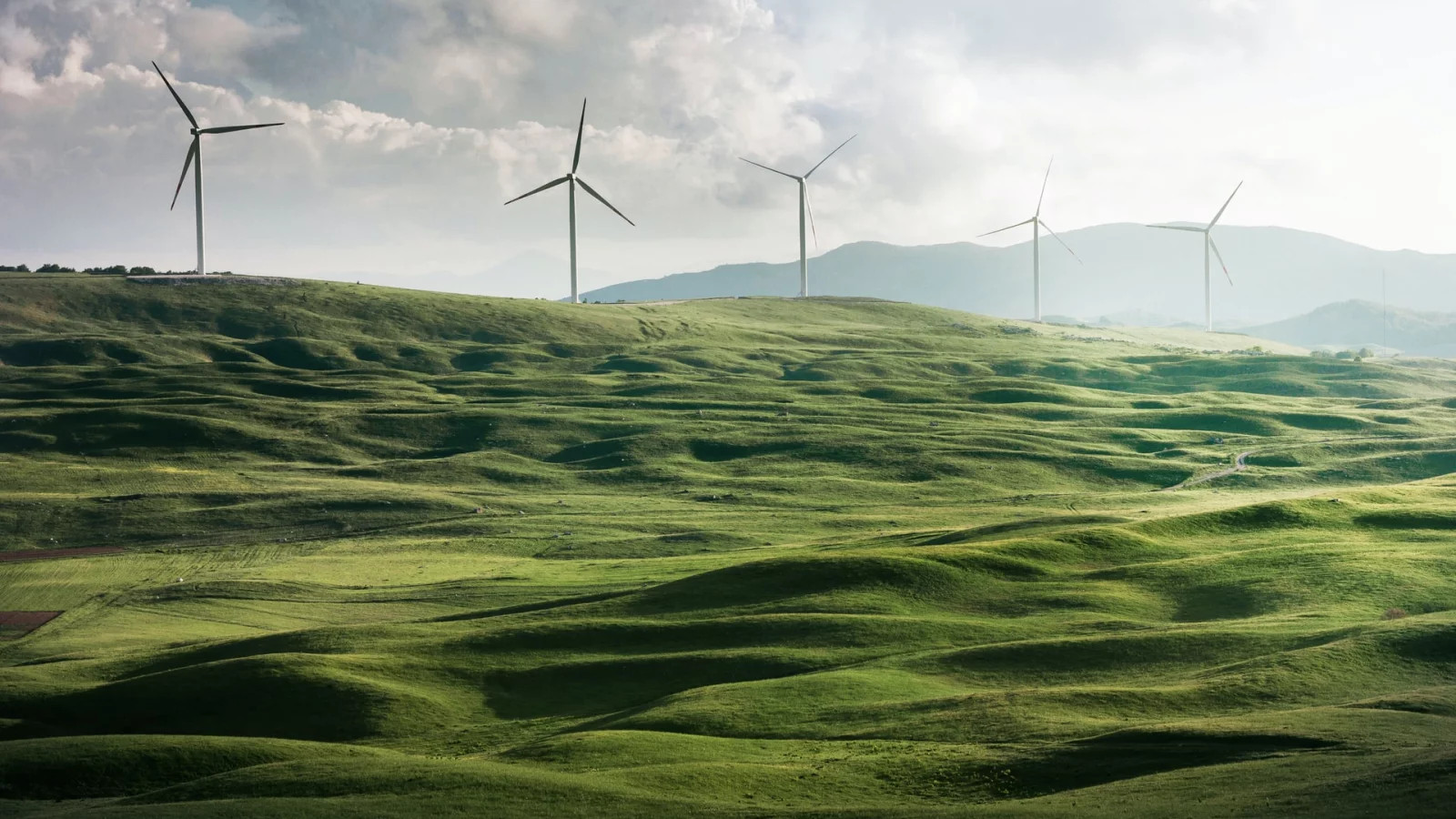 New Vision for ‘Green’ Transformation of Ukraine Expected – Ukraine ...
