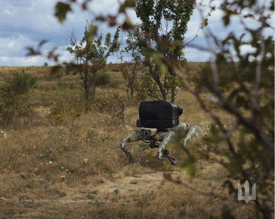 Ukraine Deploys Robot Dogs for Reconnaissance and Intimidation of ...