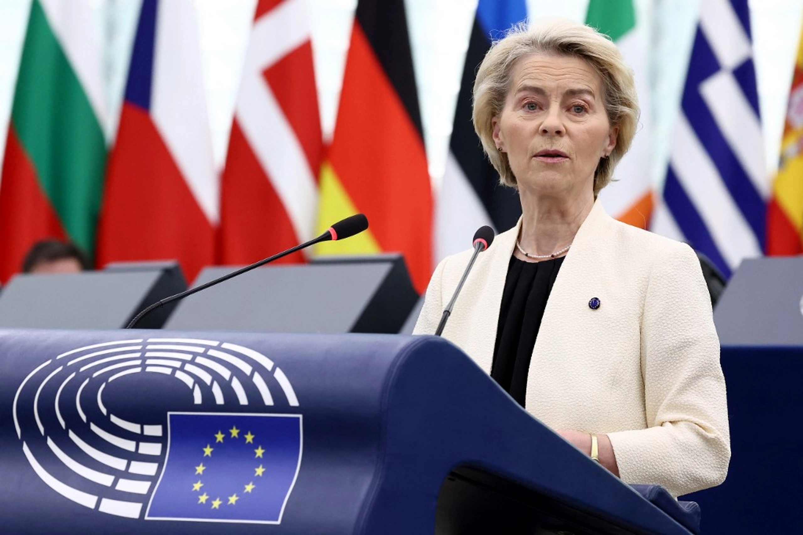 EU Chief Urges Ukraine Ceasefire ‘Without Pre-Conditions’