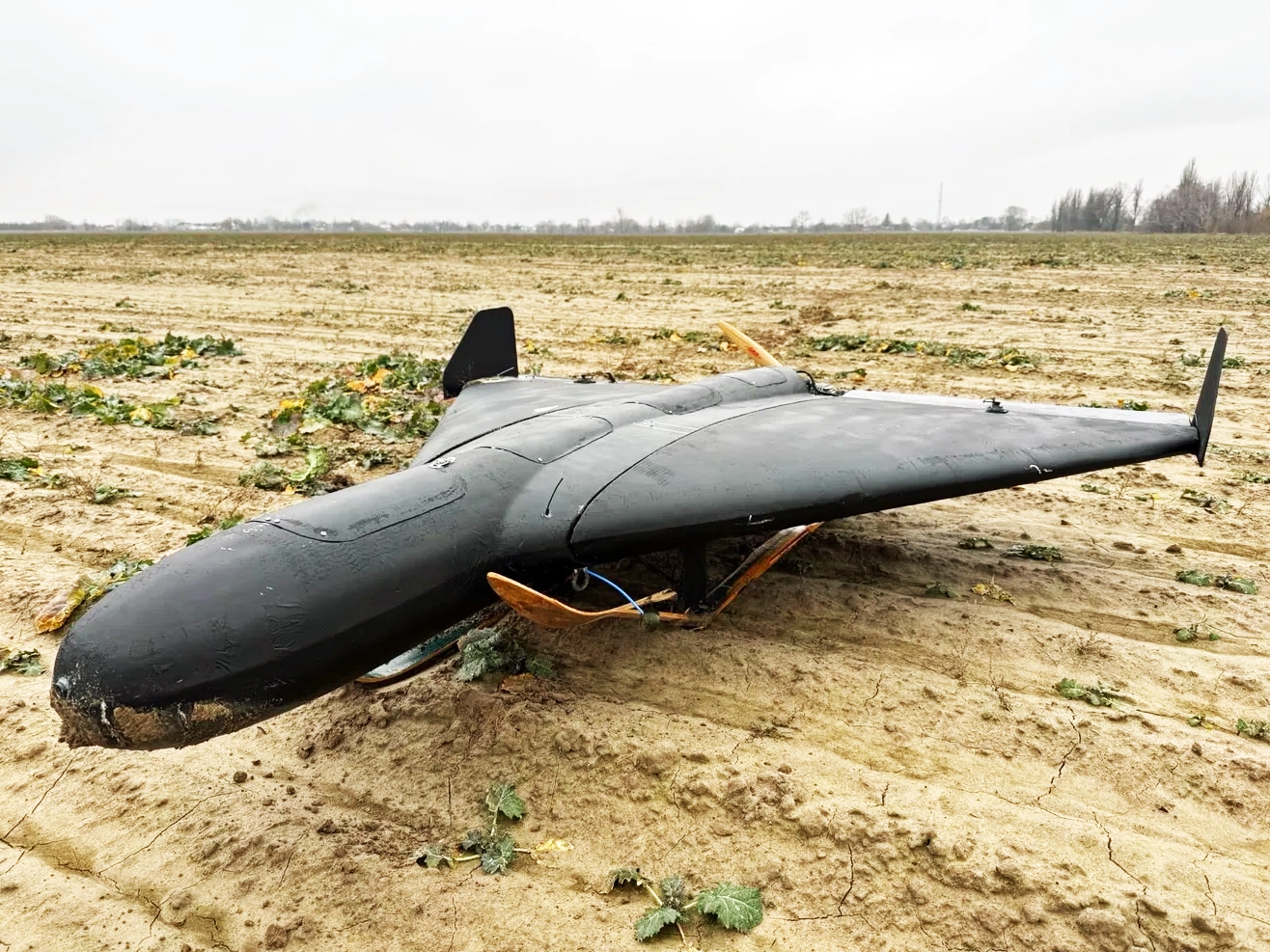 Ukraine Tech Start-Up Unveils its Multi-Role UAV