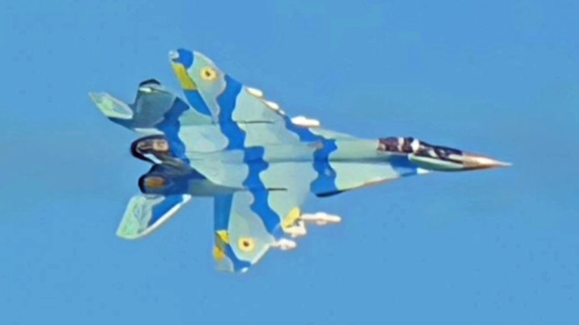 Skynex in Action: Ukrainian Air Force Releases New Drone-Kill Footage