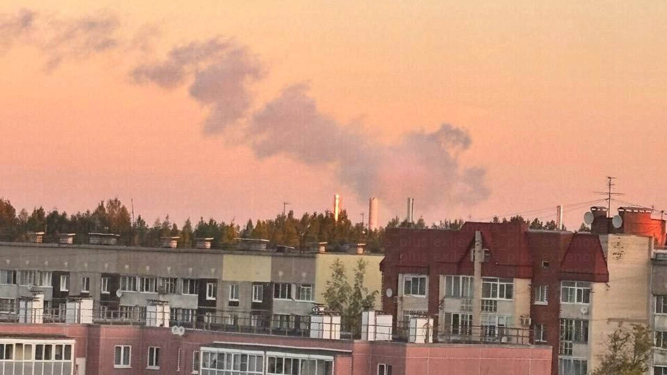 Ship Ablaze in Primorsk Port, Flights Halted as 221 Drones Hit Russia ...