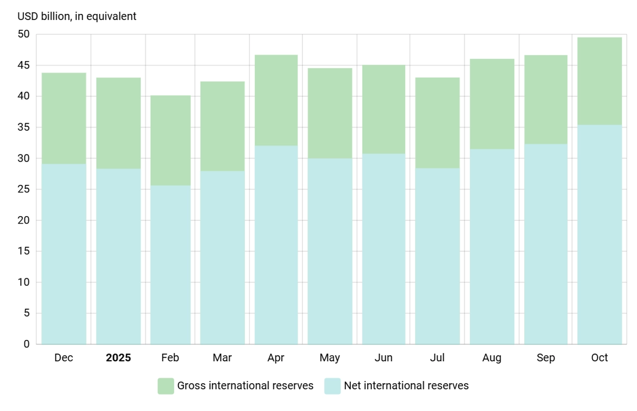 Ukraine’s Central Bank (NBU) Reports Record $49.5 Billion in Foreign ...