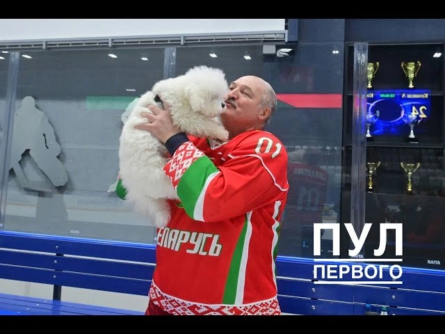 ‘Even Lukashenko’s Dog Has More Rights’: Zelensky Lambastes Belarus as ...