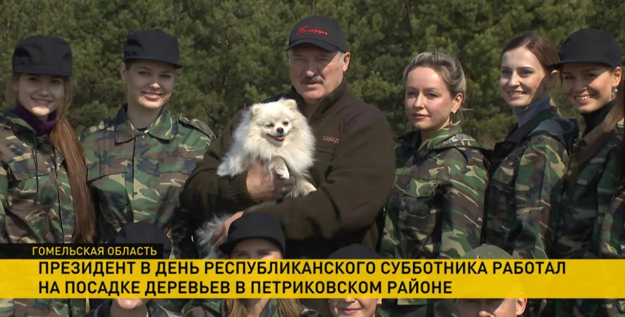 ‘Even Lukashenko’s Dog Has More Rights’: Zelensky Lambastes Belarus as ...
